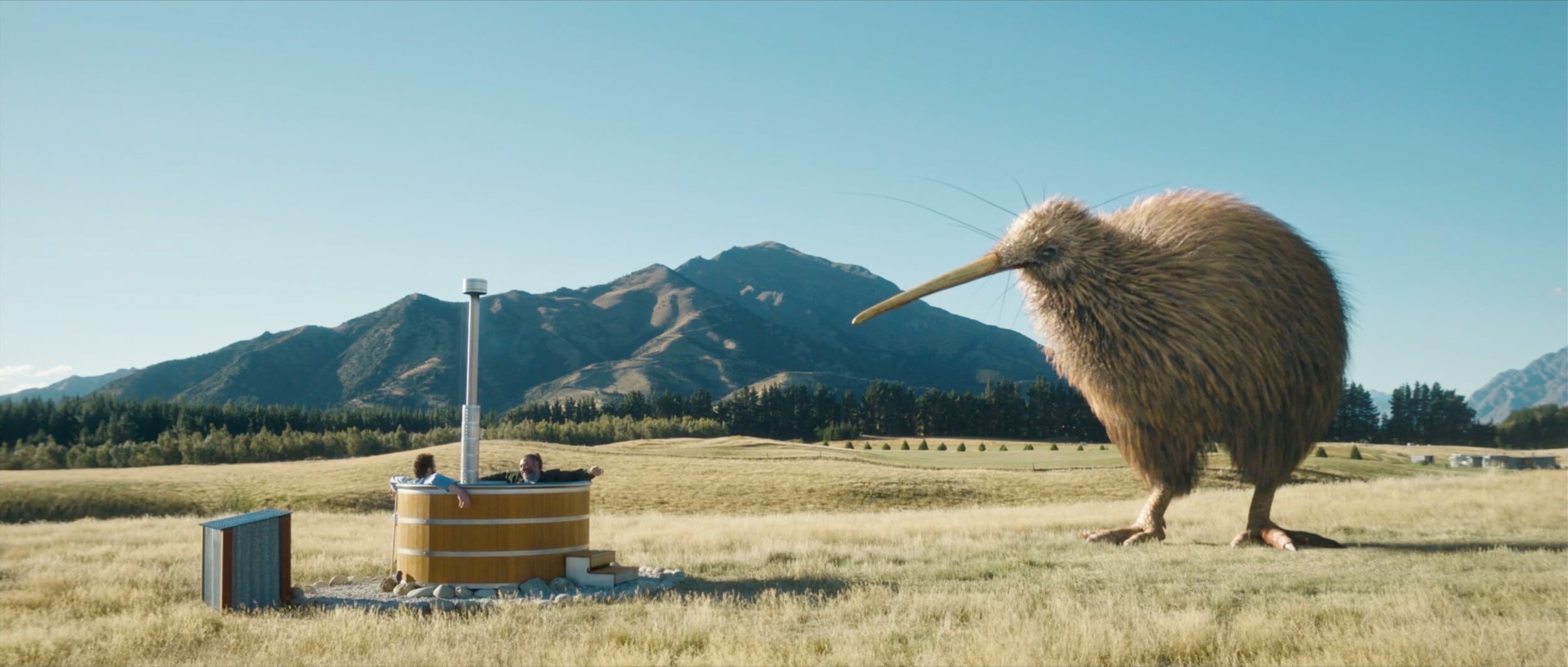 FINCH FINCH at AXIS - FINCH